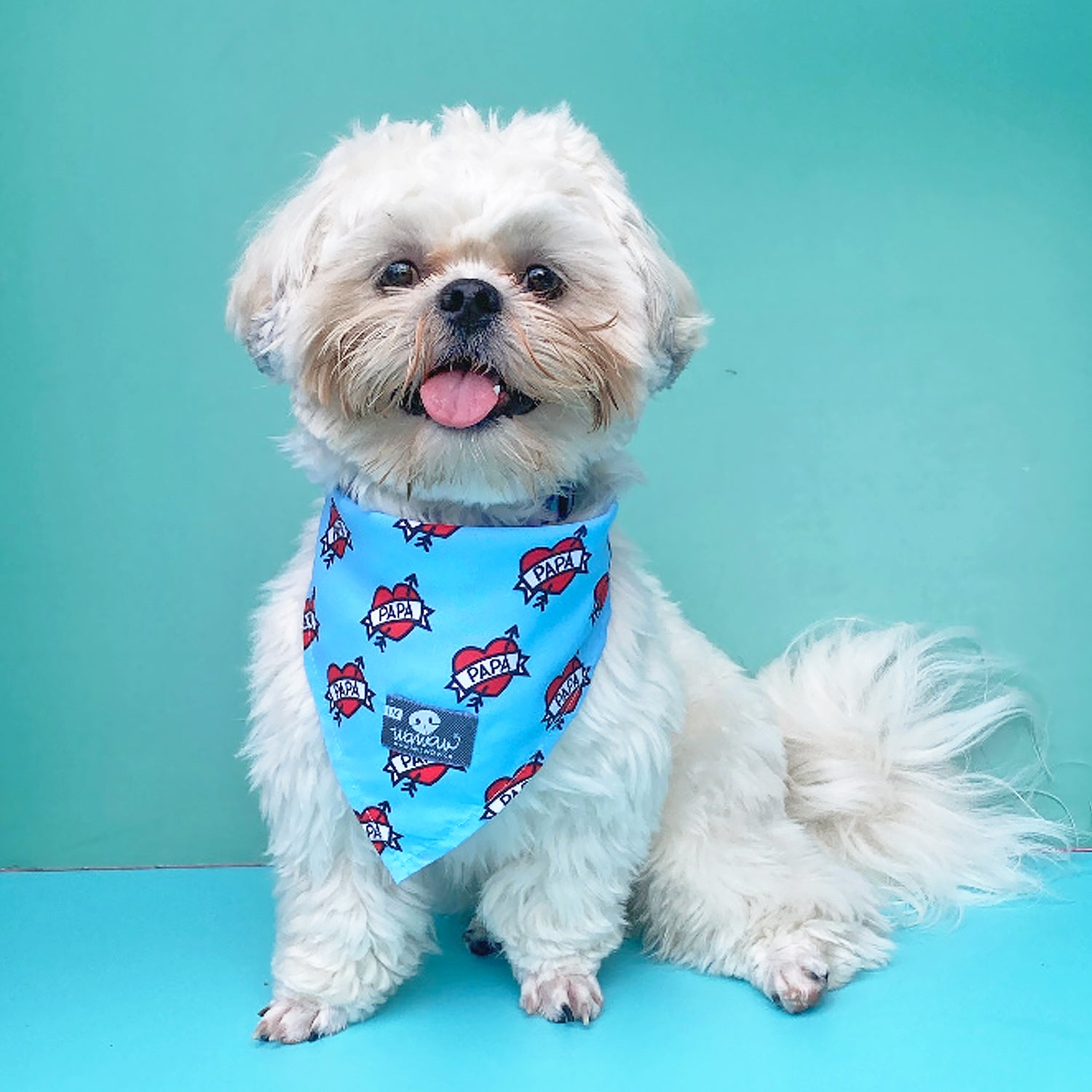 Pañoleta para mascotas perros y gatos de todas las razas y tamaños – Wawaw